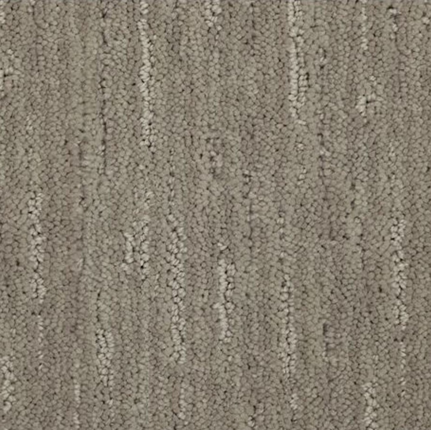 Mohawk Charming Approach Night Moth