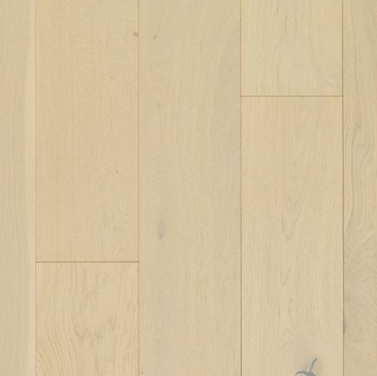 Mohawk Coral Shores Tidal