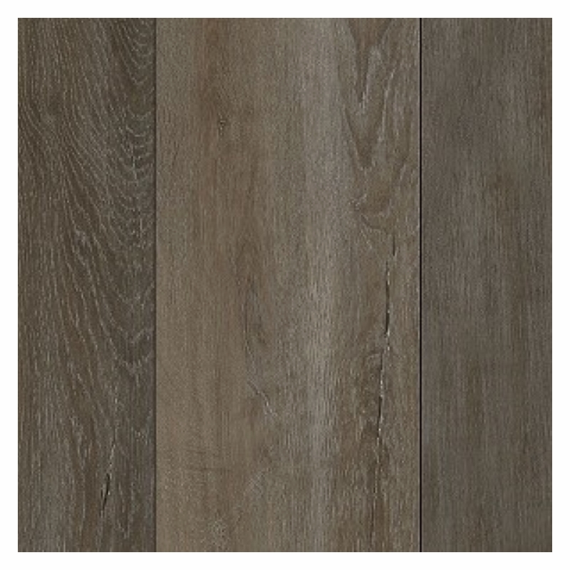 Mohawk Discovery Ridge Smoked Oyster