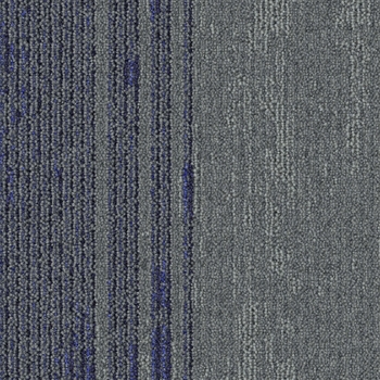 Mohawk Disruptive Path