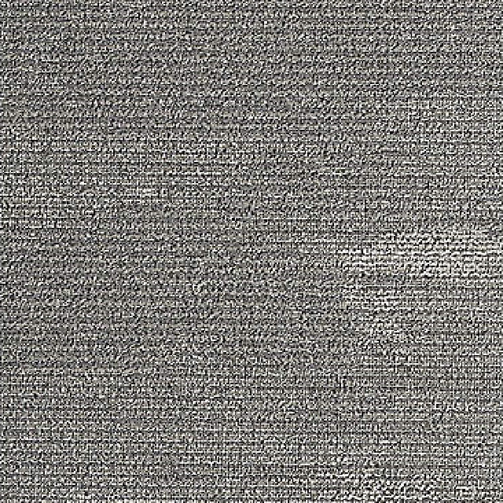 Mohawk Hydrosphere Fossil