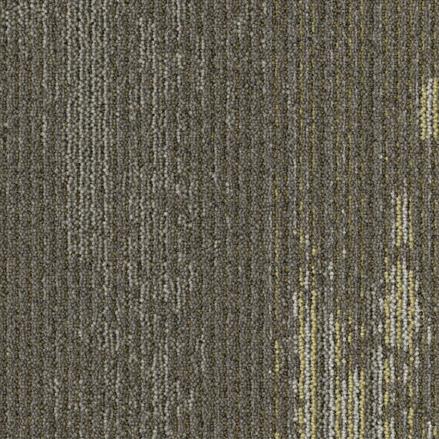 Mohawk Metallic Path Fallow Reflection