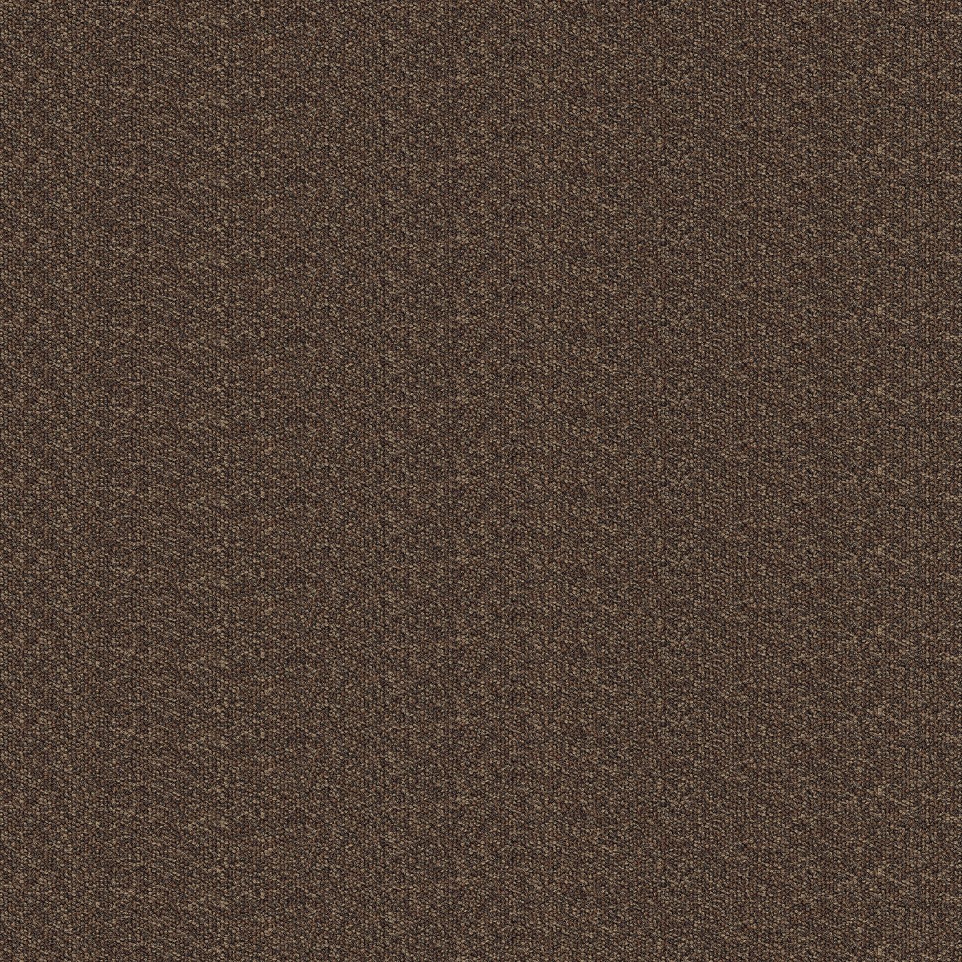 Mohawk Mindful Hickory