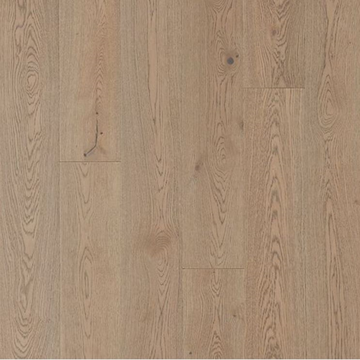 Mohawk Mod Revival Dorian