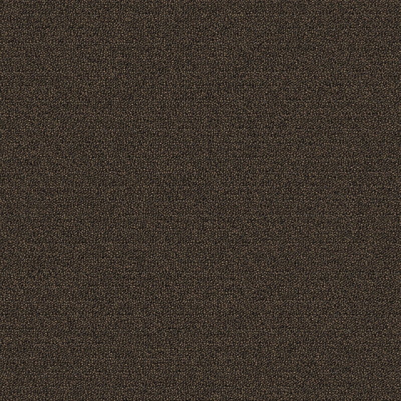 Mohawk New Basic III Earth