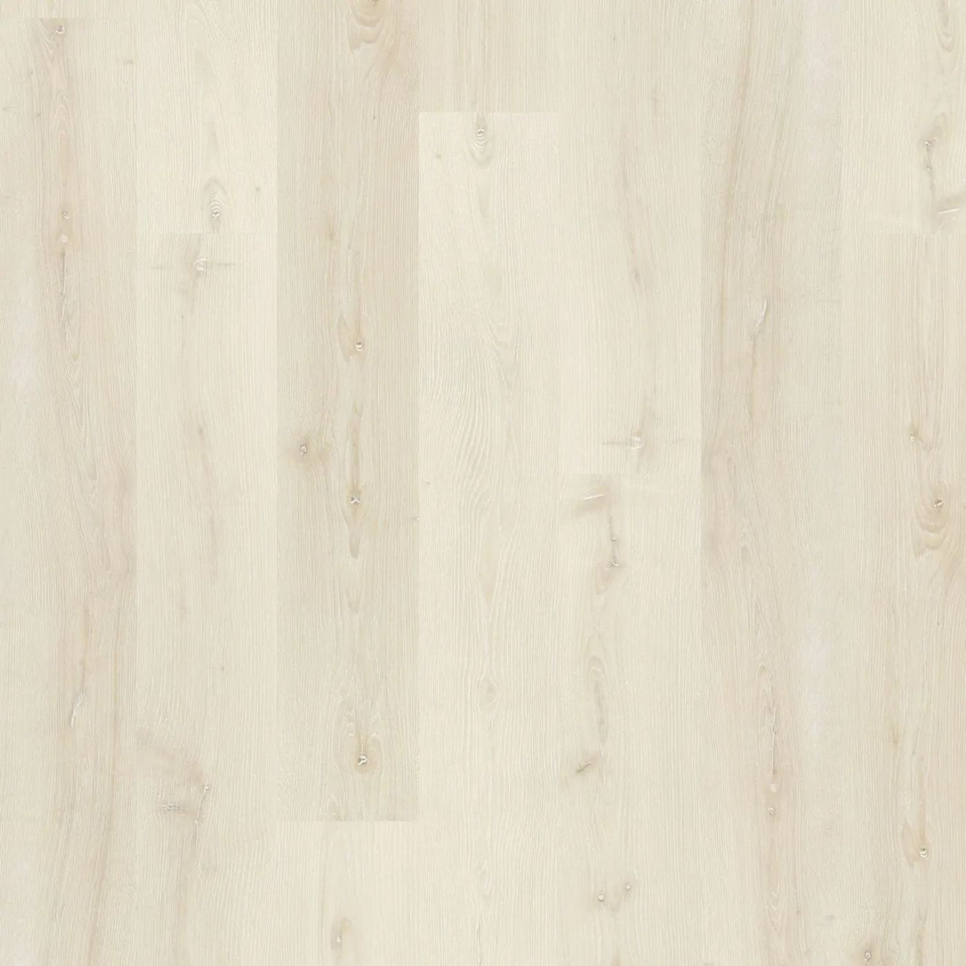 Mohawk Saltgrass Springs Iris