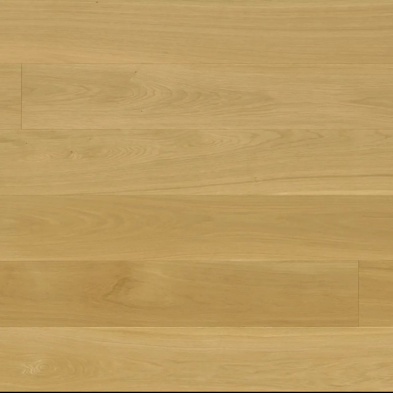 Monarch Regent Eleanor