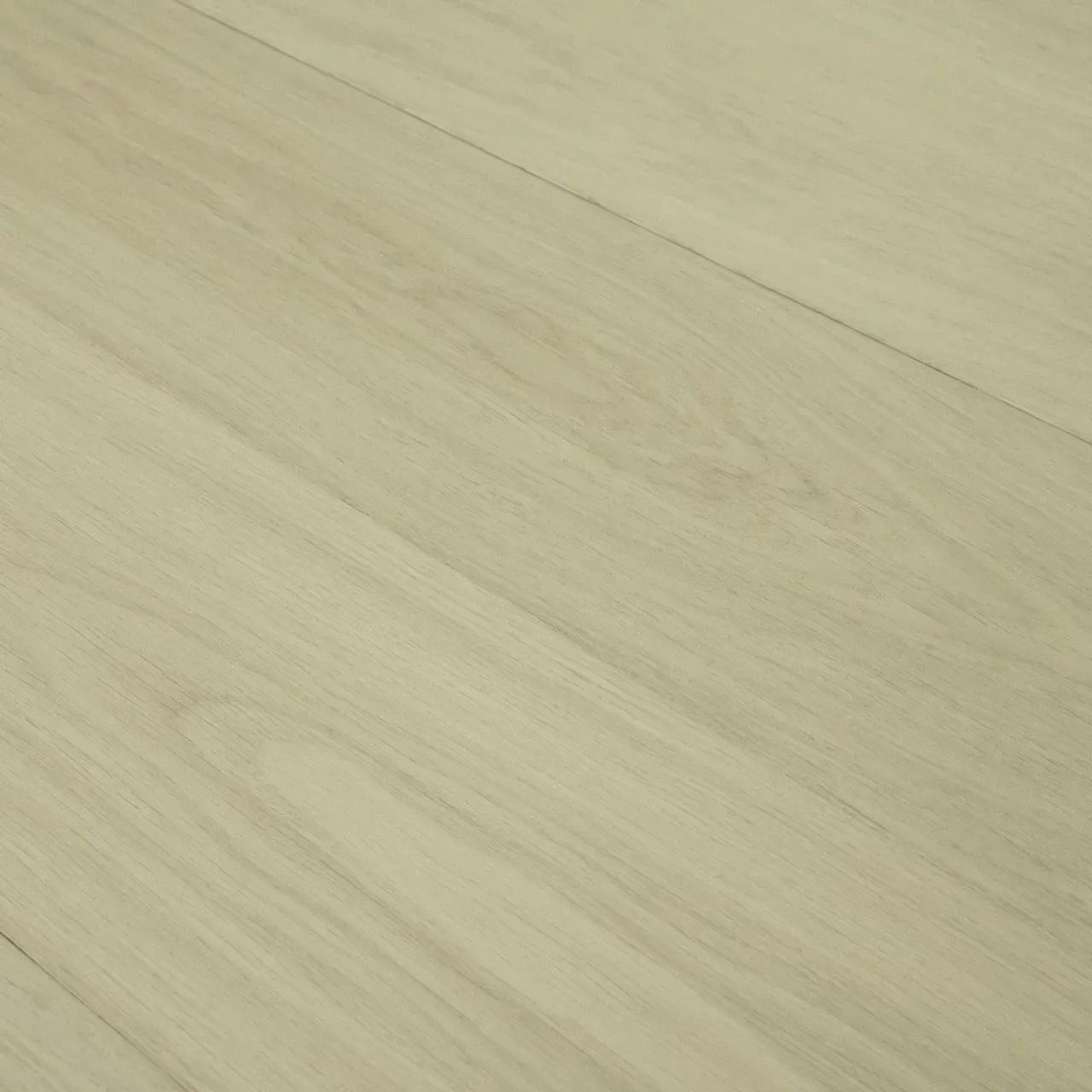 Monarch Regent Isabella