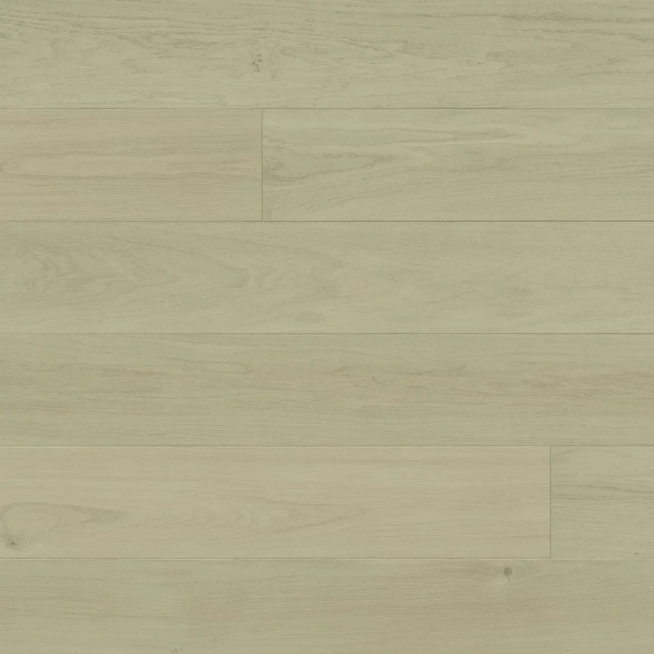 Monarch Regent Isabella