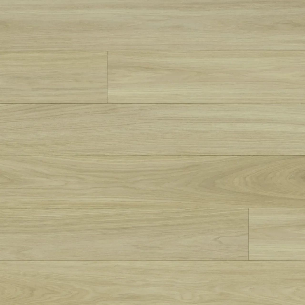 Monarch Regent Julianna