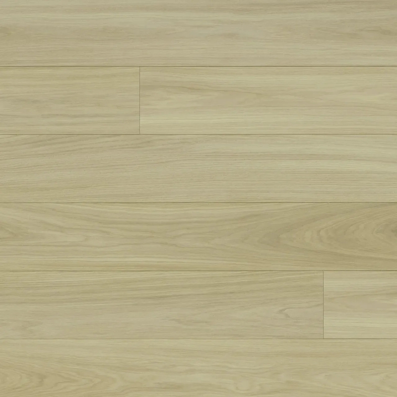 Monarch Regent Julianna