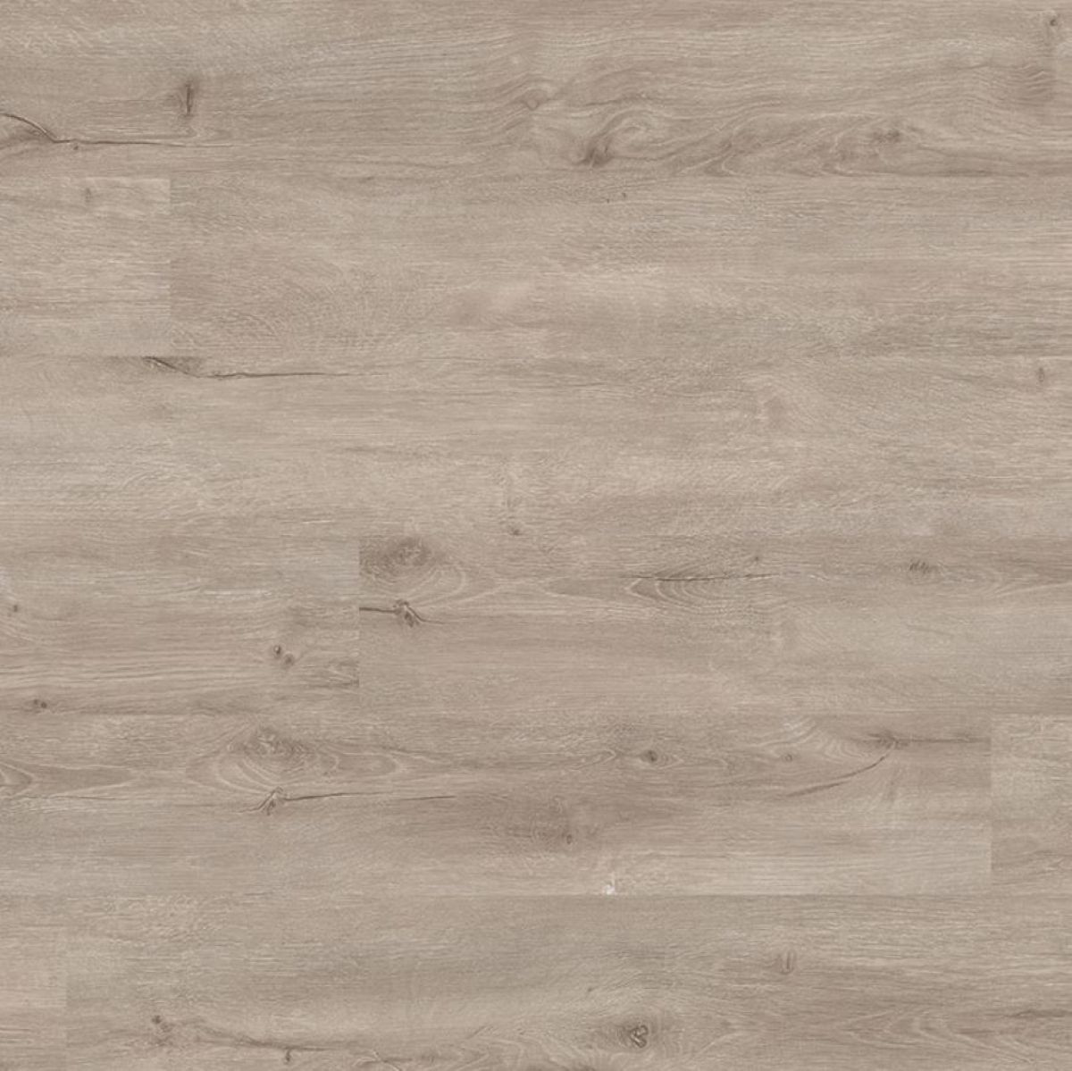 MSI Surfaces Ashton York Gray