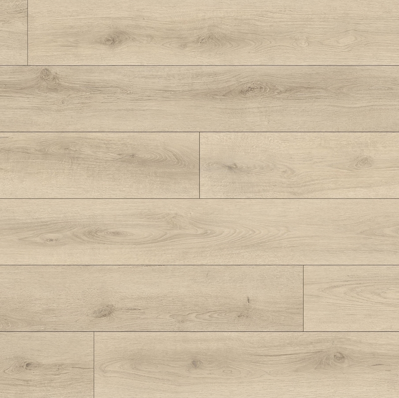 Paradigm Conquest Shield