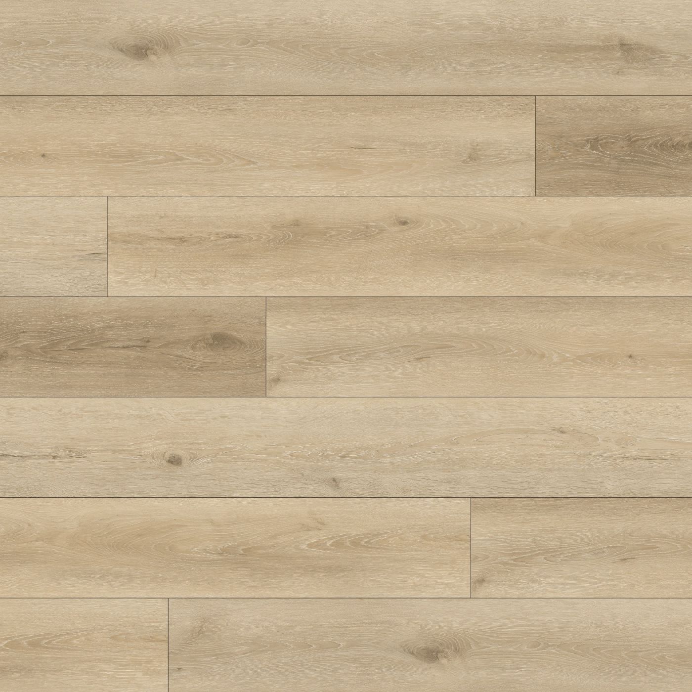 Paradigm Performer 20 Acorn