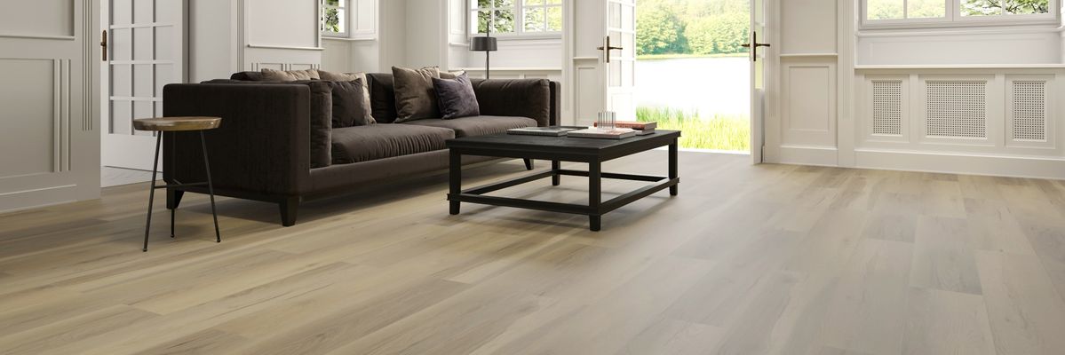 Paradigm Performer Plus