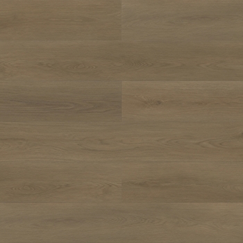 Paradigm Performer Plus