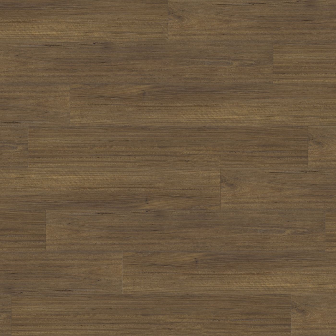 Paradigm Performer Plus Finch