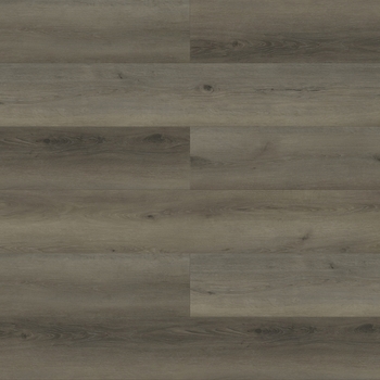 Paradigm Performer Plus