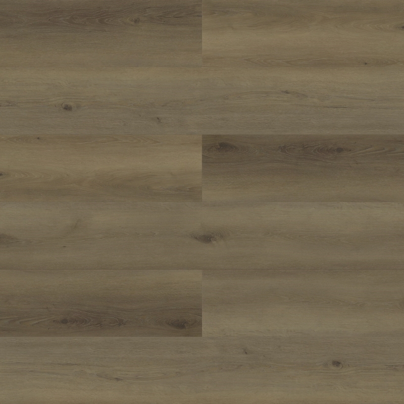 Open 7 Days Buy Paradigm Performer Plus Owl 20 Mil Vinyl