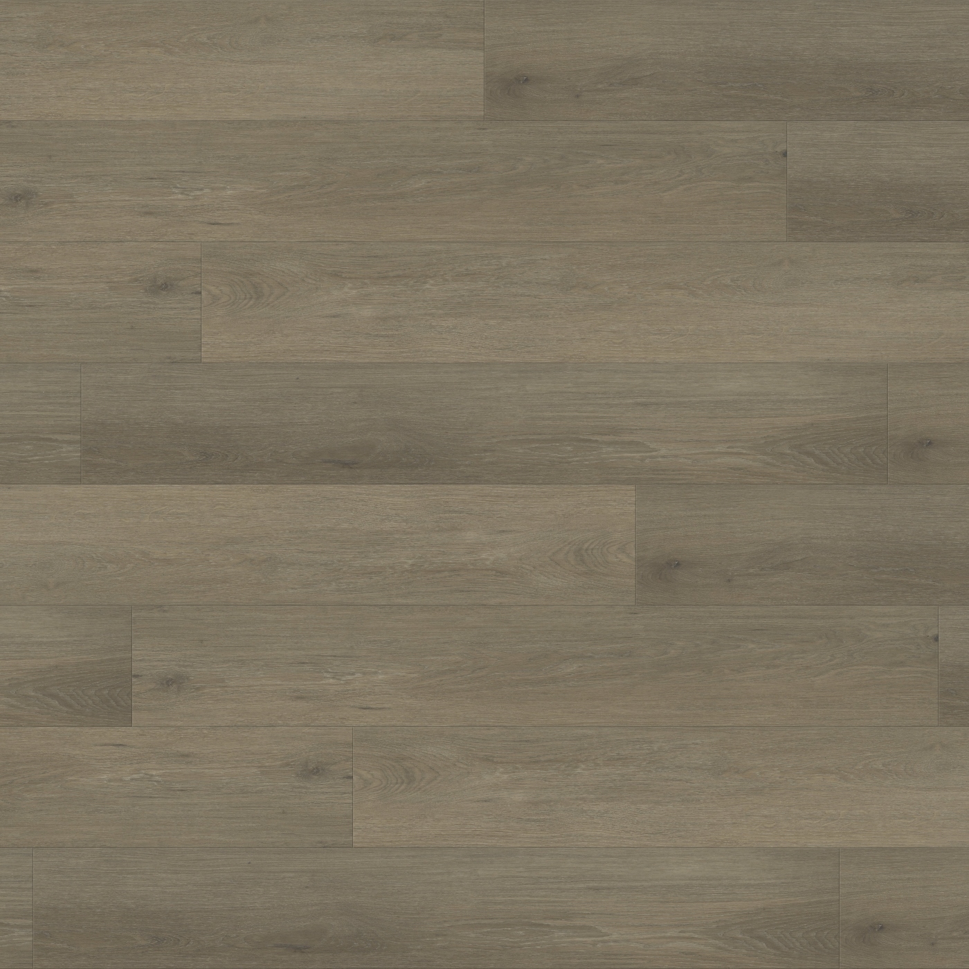 Discounted Pricing. Paradigm Performer Plus Tern 20 Mil Vinyl