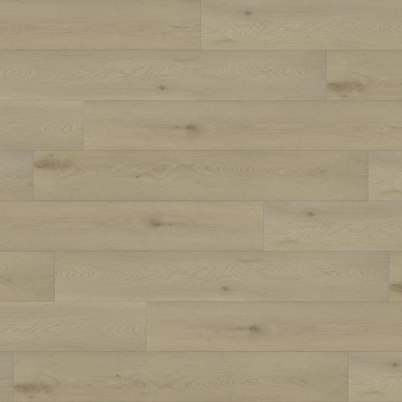 Paradigm Performer Plus Warblar