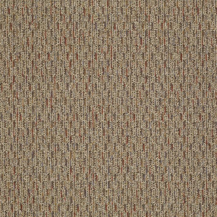 Patcraft Approach Literal Carpet