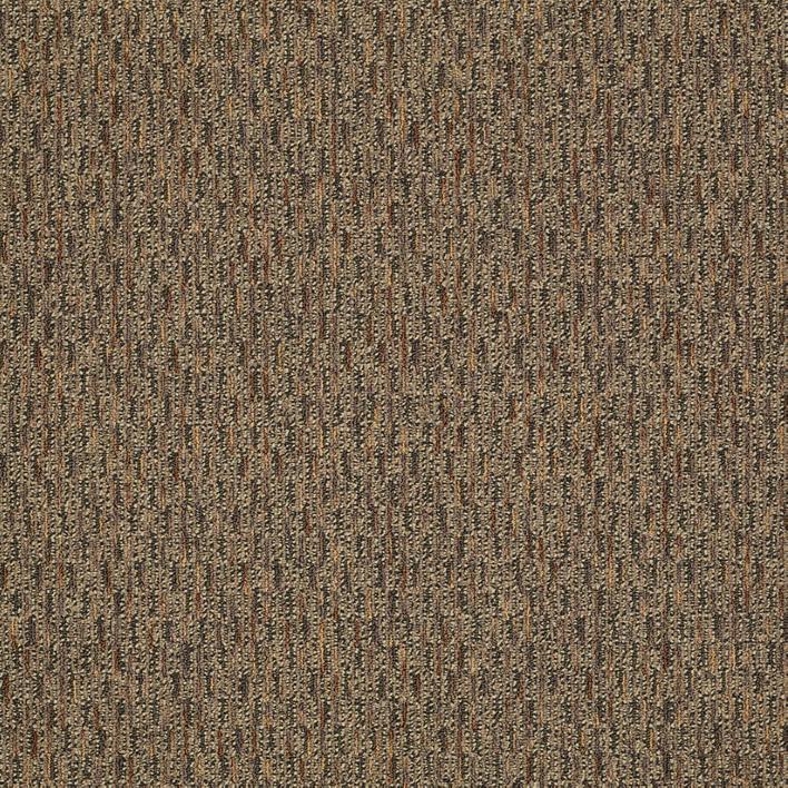 Patcraft Approach Novel Carpet