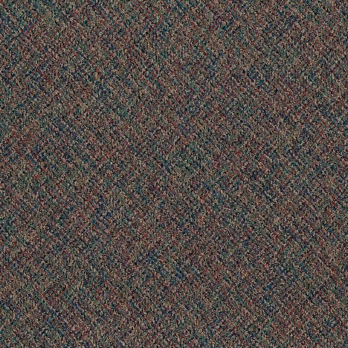 Patcraft Big Splash! Springboard Carpet