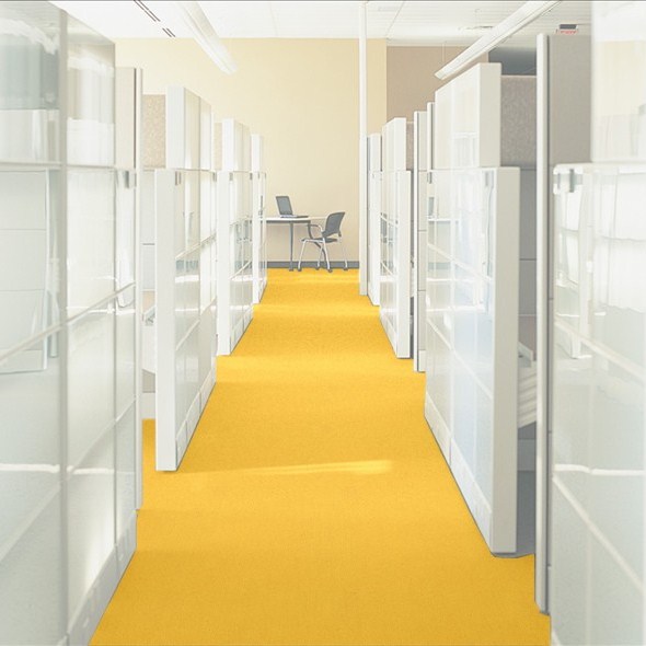 Patcraft Color Choice