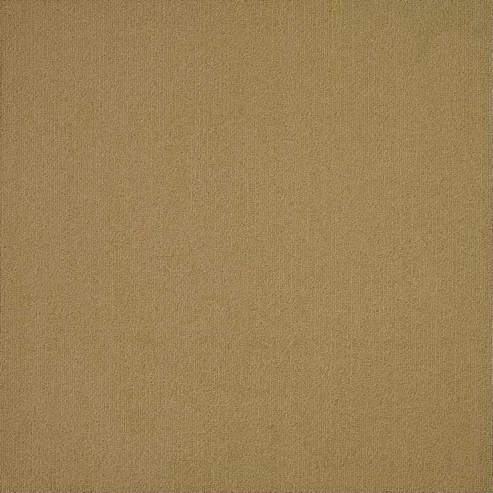 Patcraft Color Choice Aloe Carpet