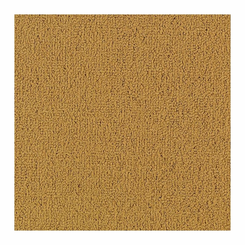 Patcraft Color Choice Brasserie Carpet