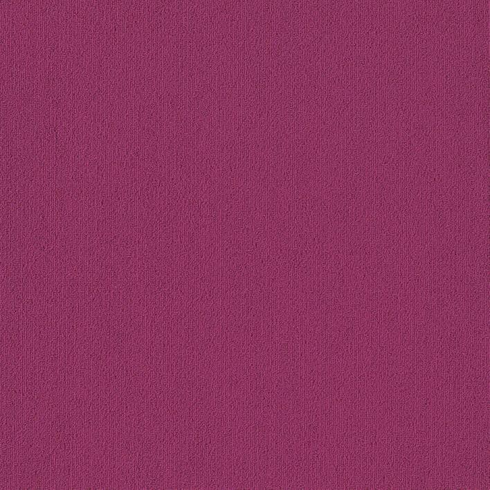 Patcraft Color Choice Calypso Carpet