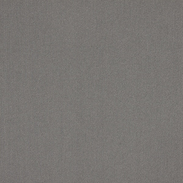 Patcraft Color Choice Dolphin Carpet