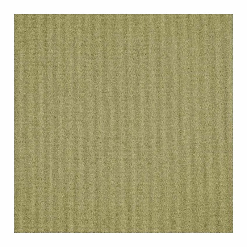 Patcraft Color Choice Fescue Carpet Tile