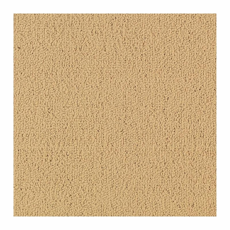 Patcraft Color Choice Flax Carpet