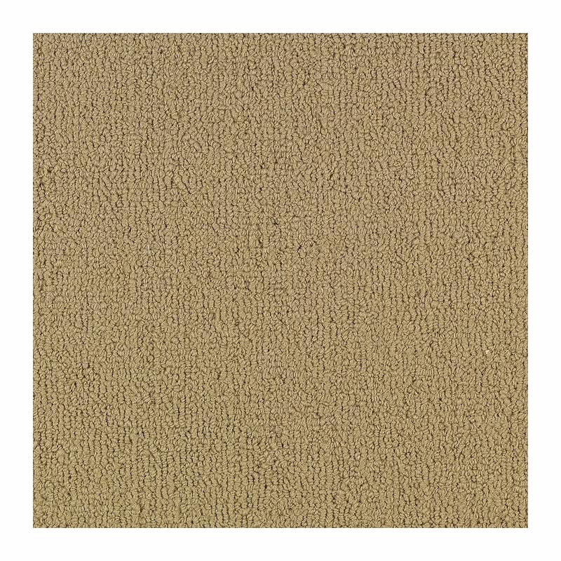 Patcraft Color Choice Gilded Carpet