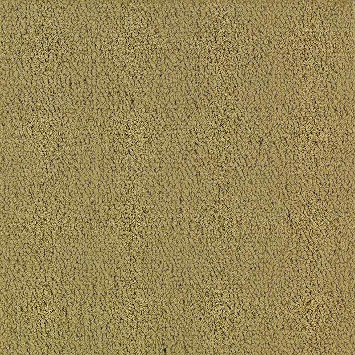 Patcraft Color Choice Herbal Carpet