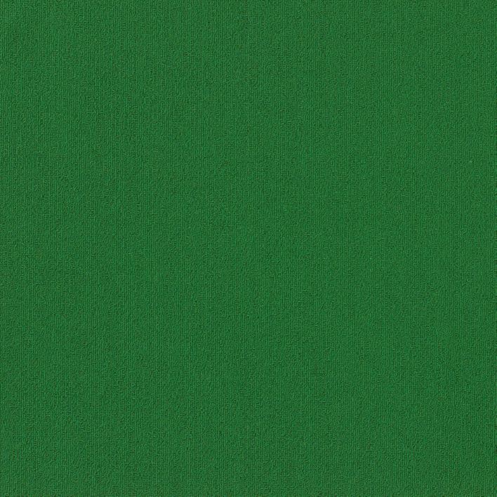 Patcraft Color Choice Ireland Carpet