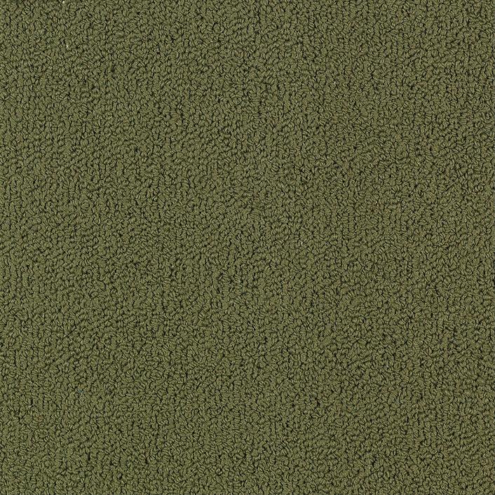 Patcraft Color Choice Ivy Carpet Tile