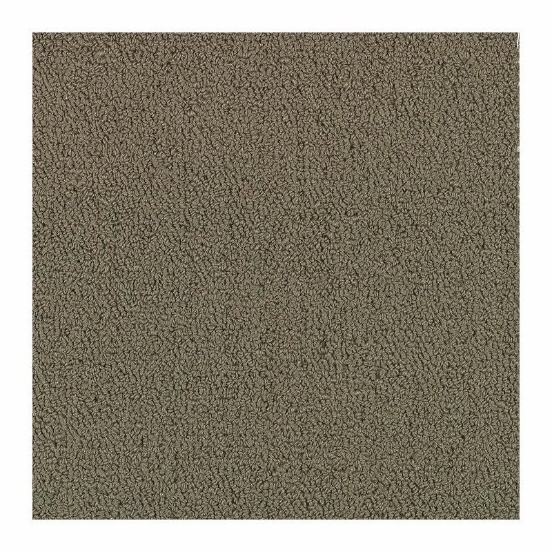 Patcraft Color Choice Taupe Carpet