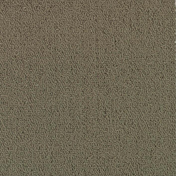 Patcraft Color Choice Taupe Carpet
