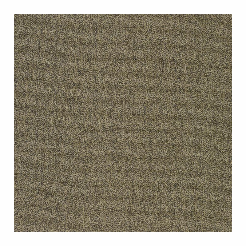 Patcraft Color Your World Color Mapping Carpet