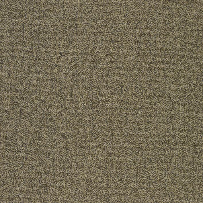 Patcraft Color Your World Color Mapping Carpet