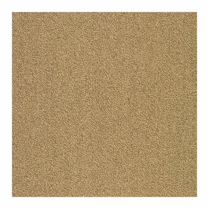 Patcraft Color Your World Color Paper Carpet