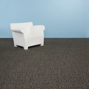 Patcraft Broadloom Carpet