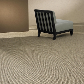 Patcraft Broadloom Carpet