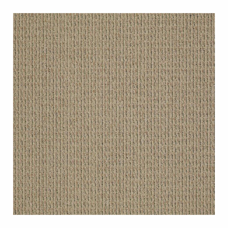 Patcraft Gait Amble Carpet