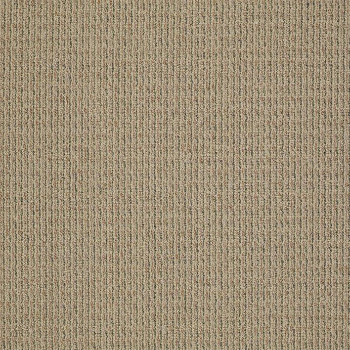 Patcraft Gait Amble Carpet