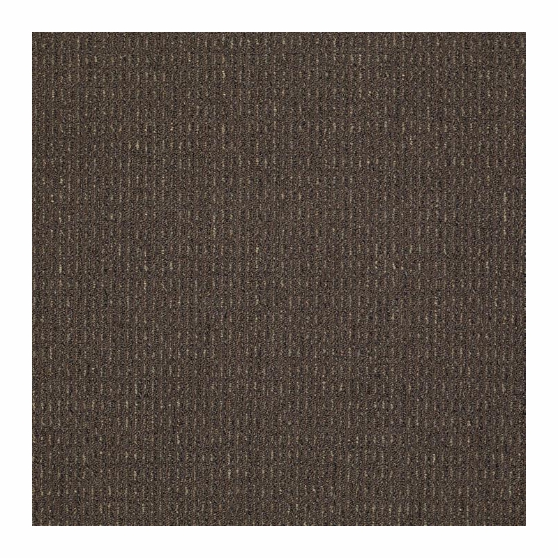 Patcraft Gait Saunter Carpet