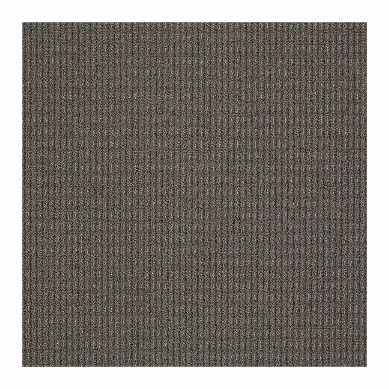 Patcraft Gait Stroll Carpet